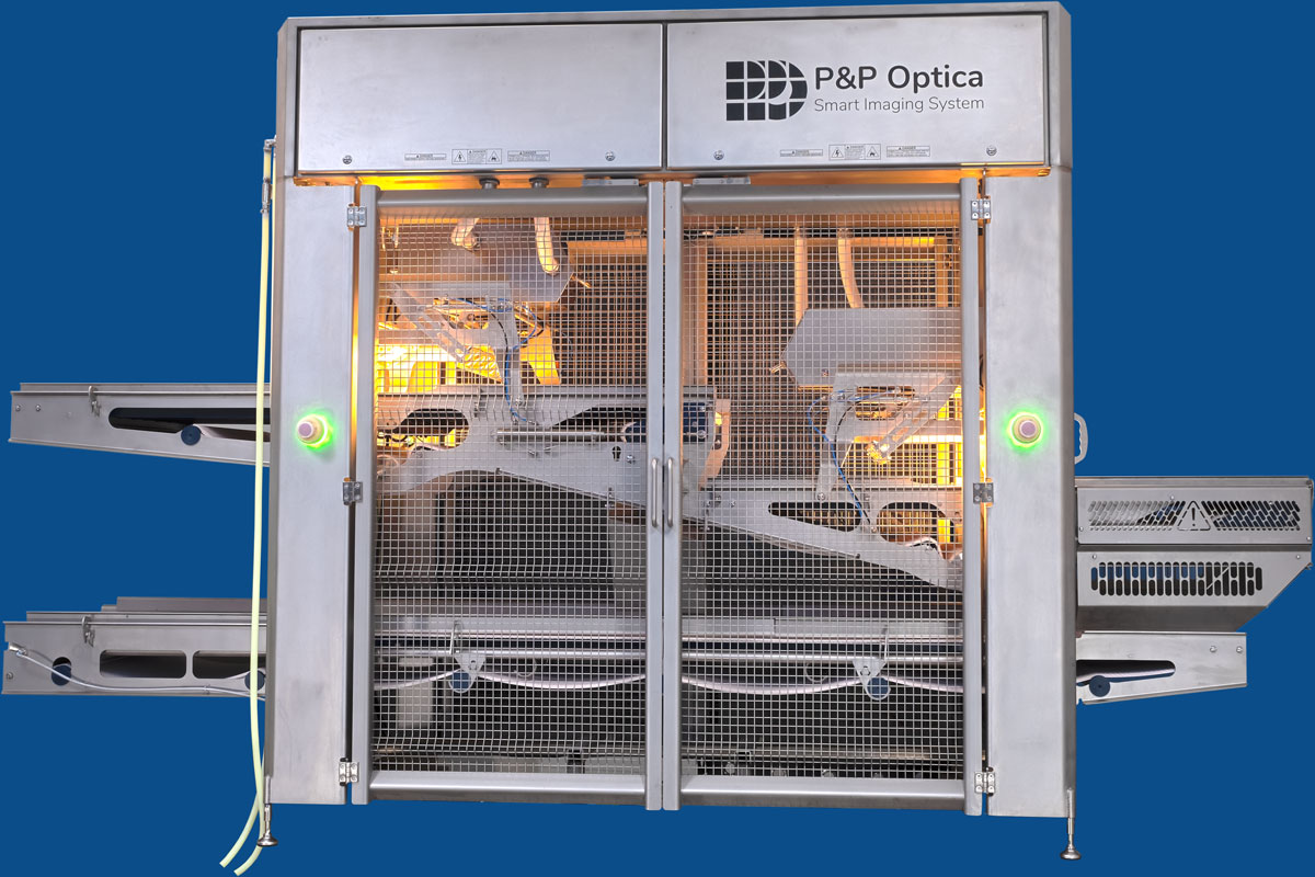 Foreign Material Detection for Meat Processing | P&P Optica