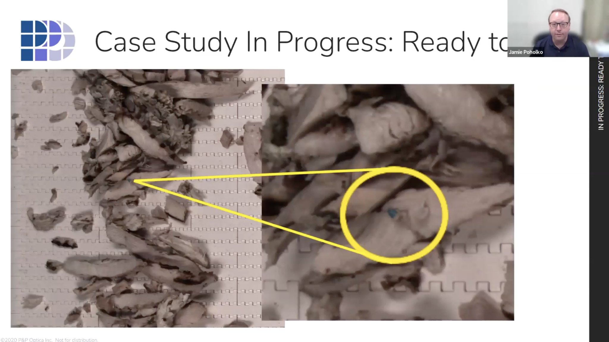 Four Foreign Material Detection ROI Success Stories | P&P Optica Four Foreign Material Detection ROI Success Stories | P&P Optica